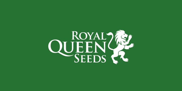 Royal Queen Seeds Review - Should You Trust The Queen? - BudInformer.com