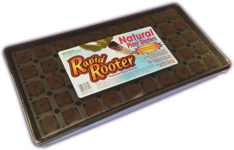 How To Use Rapid Rooters Plugs To Germinate Cannabis Seeds ...